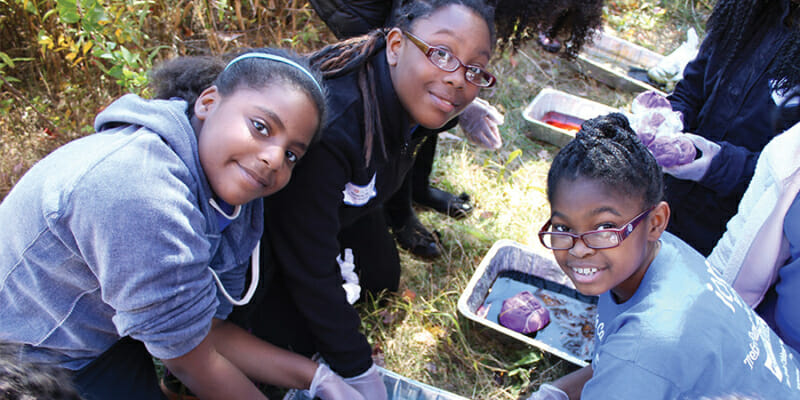 Grantmaking Overview – Connecticut Community Foundation